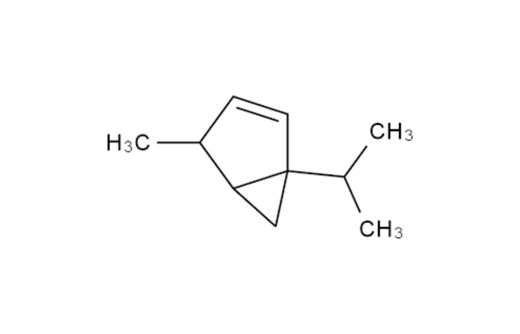 Alpha-Thujene in Frankincense: an Overview | Oh Mighty Health