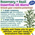 10 Rosemary Essential Oil Diffuser Blends: Transform Every Room in Your ...