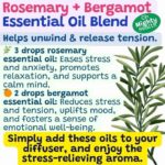 10 Rosemary Essential Oil Diffuser Blends: Transform Every Room in Your ...