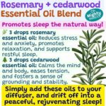 10 Rosemary Essential Oil Diffuser Blends: Transform Every Room in Your ...