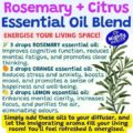 10 Rosemary Essential Oil Diffuser Blends: Transform Every Room in Your ...