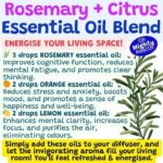 10 Rosemary Essential Oil Diffuser Blends: Transform Every Room in Your ...