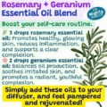 10 Rosemary Essential Oil Diffuser Blends: Transform Every Room in Your ...