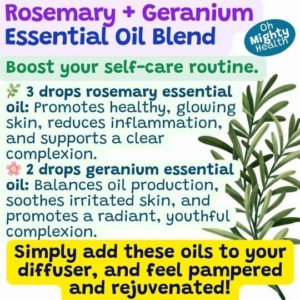 10 Rosemary Essential Oil Diffuser Blends: Transform Every Room in Your ...