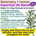 10 Rosemary Essential Oil Diffuser Blends: Transform Every Room in Your ...