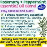 10 Rosemary Essential Oil Diffuser Blends: Transform Every Room in Your ...
