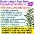 10 Rosemary Essential Oil Diffuser Blends: Transform Every Room in Your ...